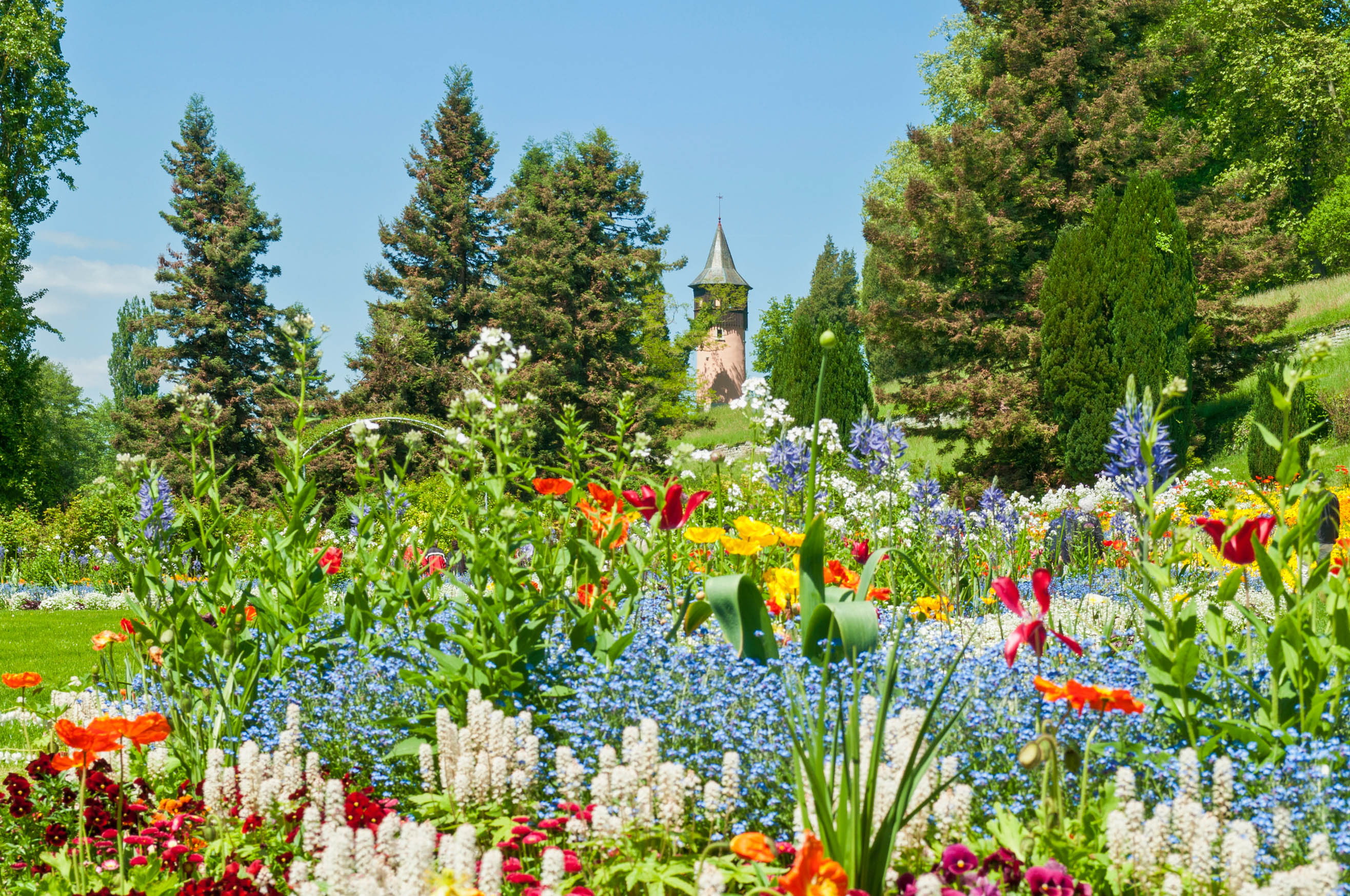 Die schönsten Reiseziele für den Frühling | Urlaubsguru
