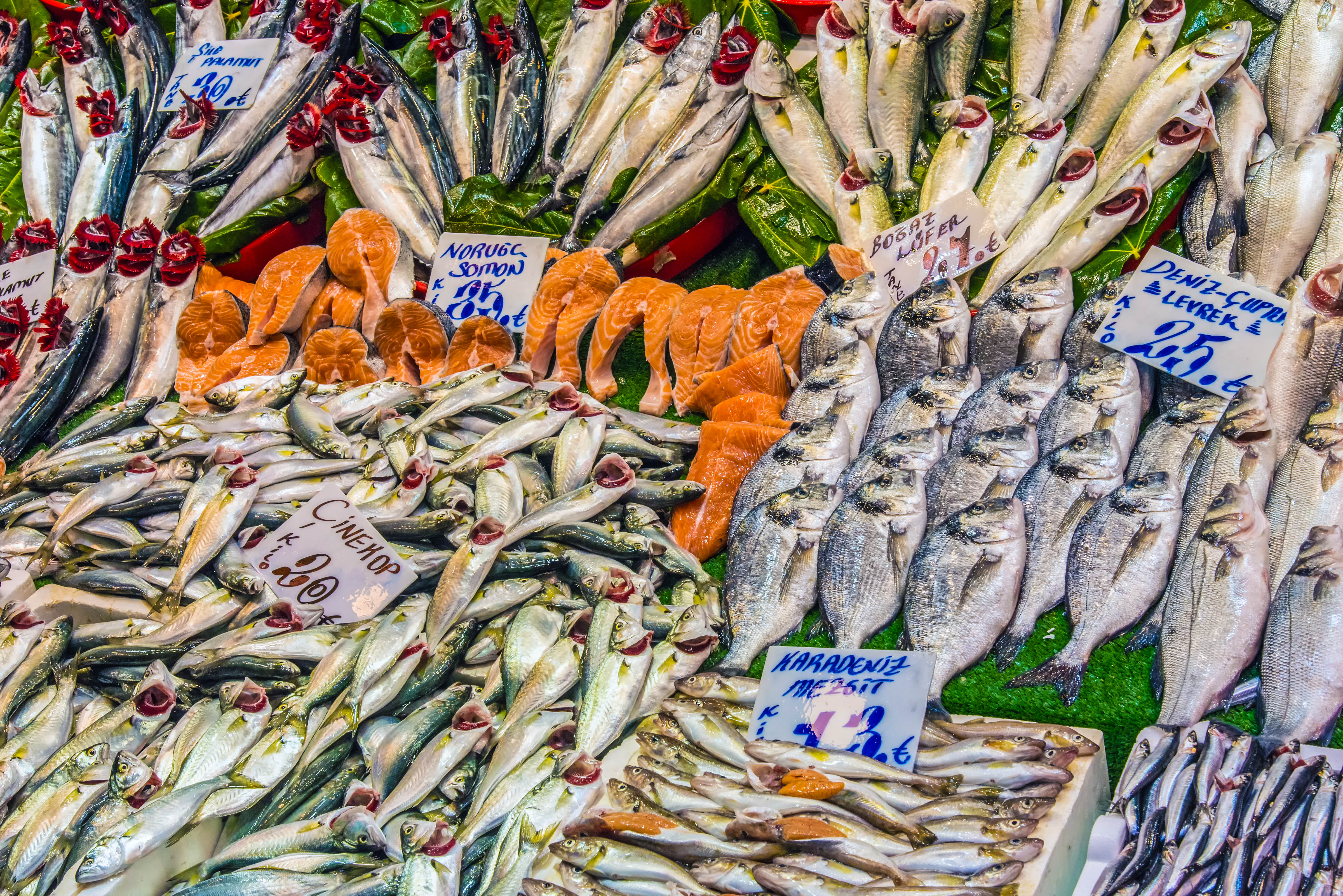 Isländische Küche - von lecker bis skurril | Urlaubsguru.de