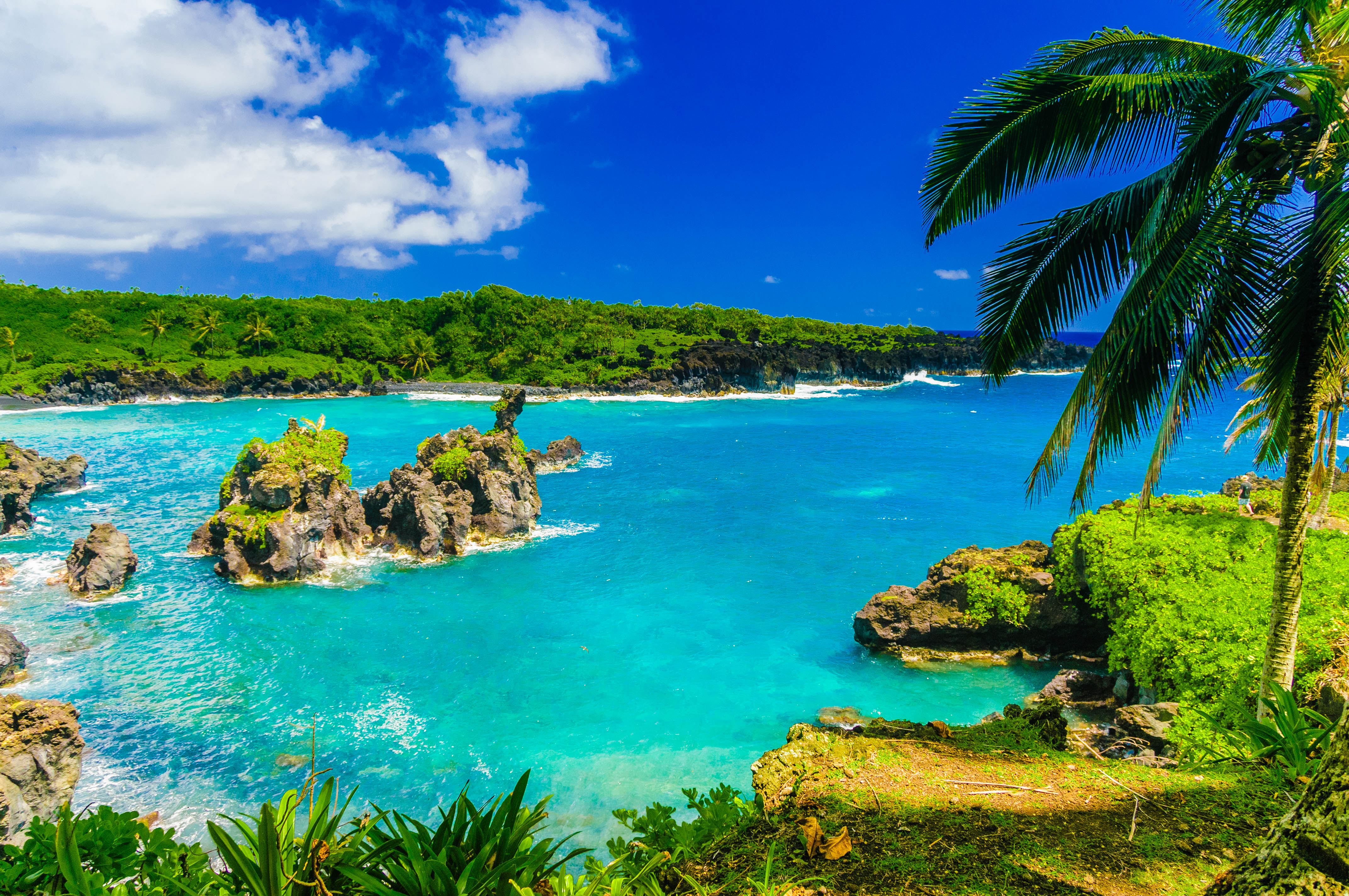 Whale Watching: Die besten Spots und Tipps | Urlaubsguru