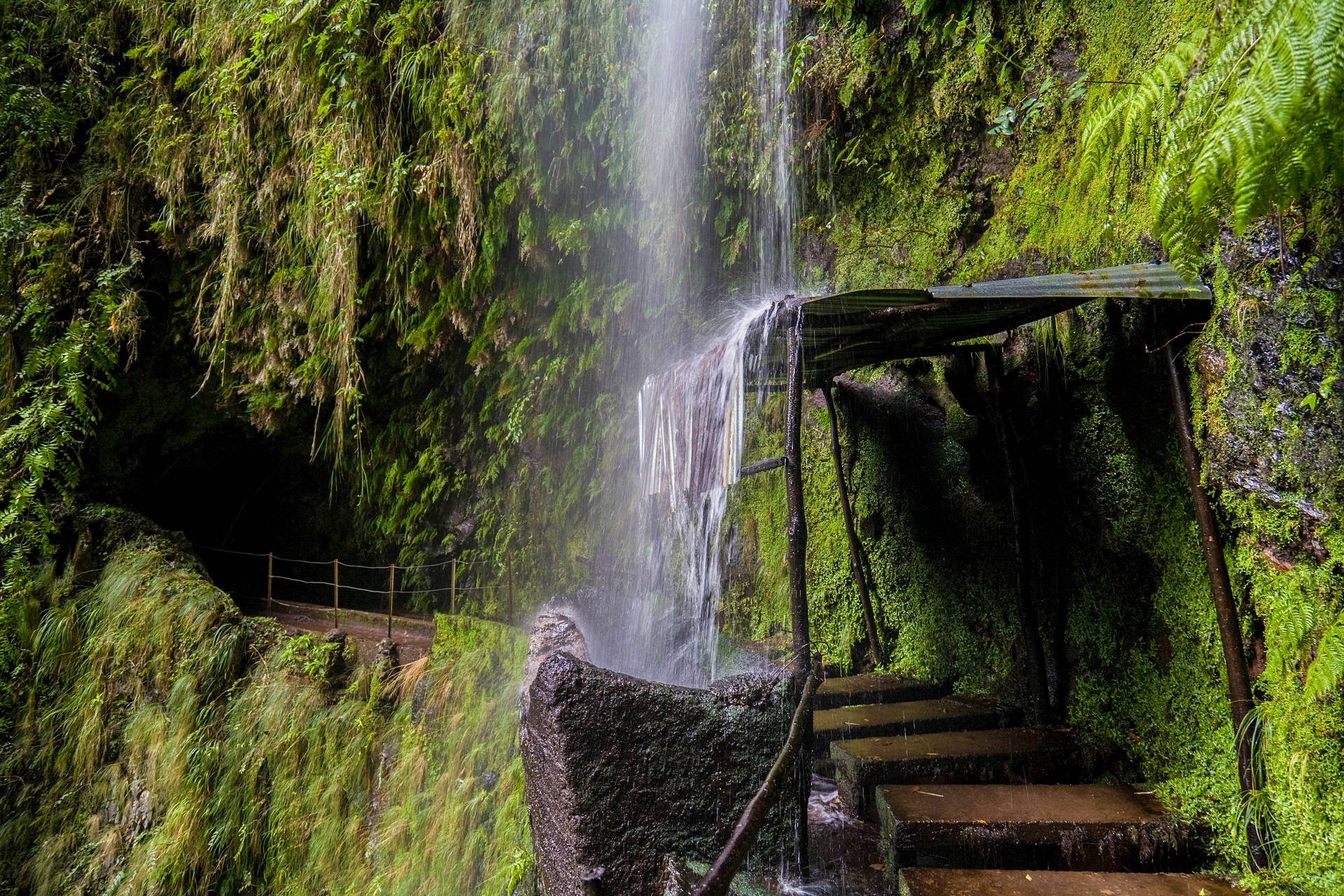 Madeira Tipps - Urlaub auf der portugiesischen Blumeninsel | Urlaubsguru