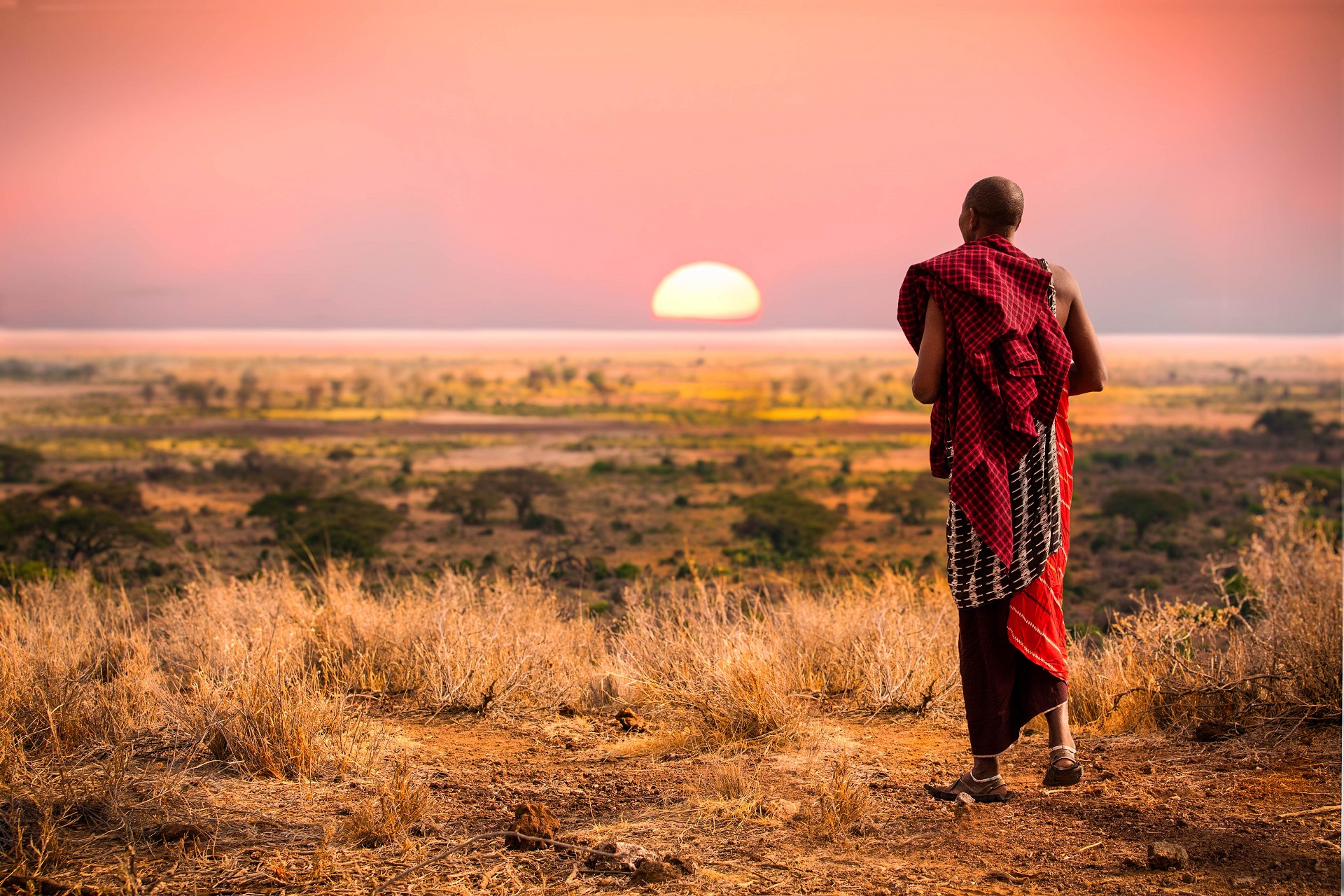Tansania - Wilde Tiere und schöne Strände| Urlaubsguru.de
