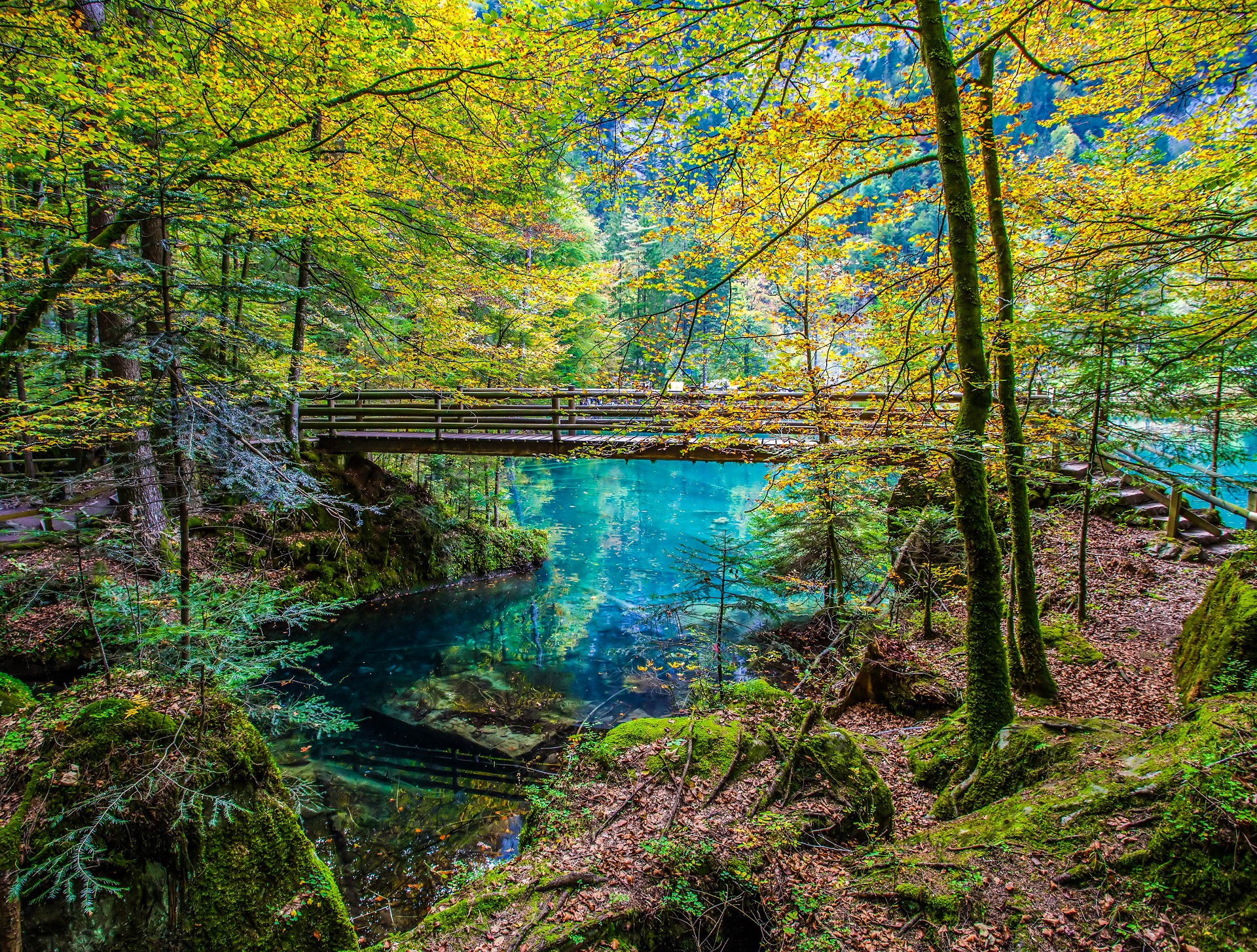 Faszinierender Blausee in der Schweiz | Urlaubsguru.de