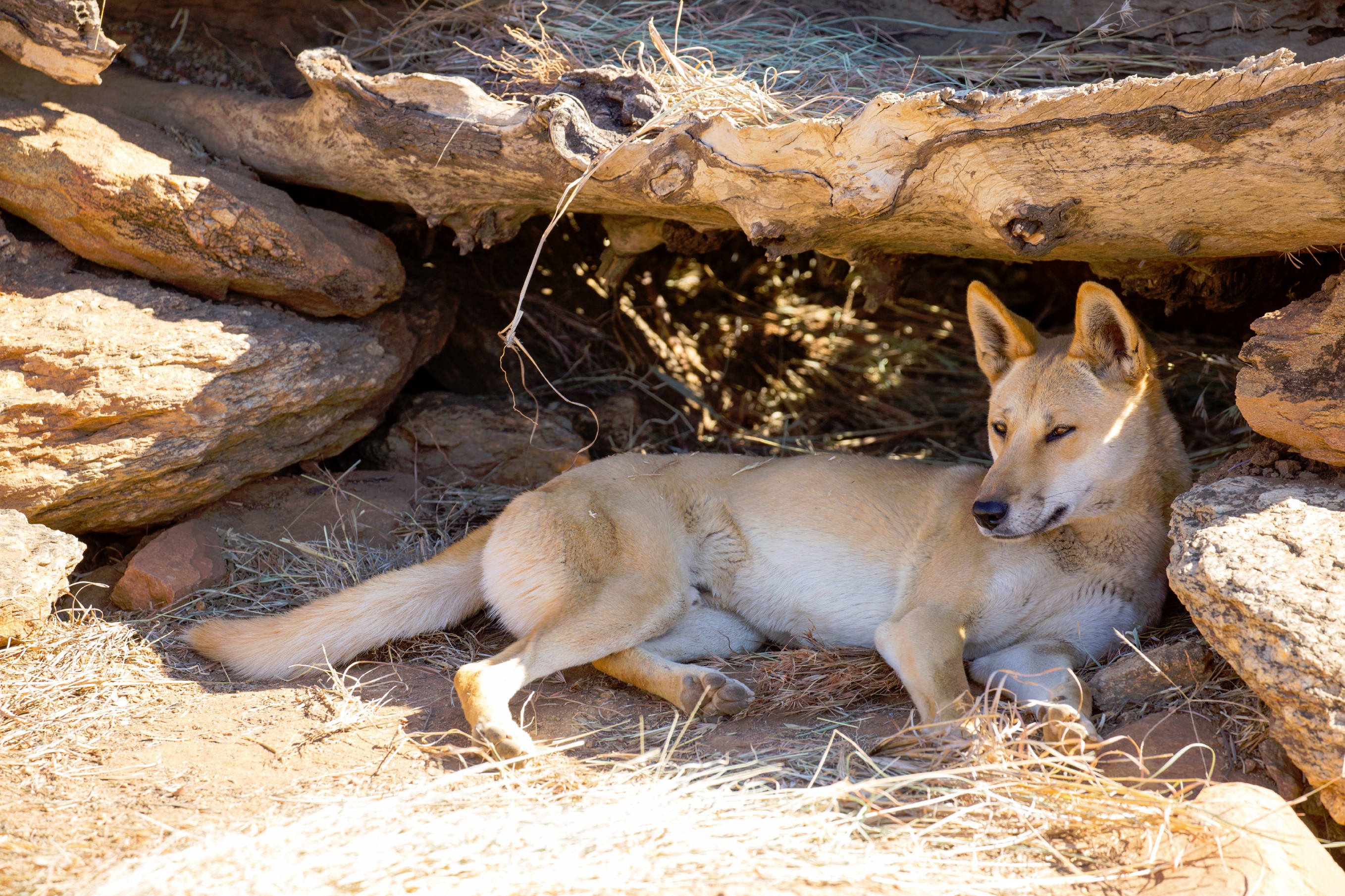 Fraser Island | Urlaubsguru.de