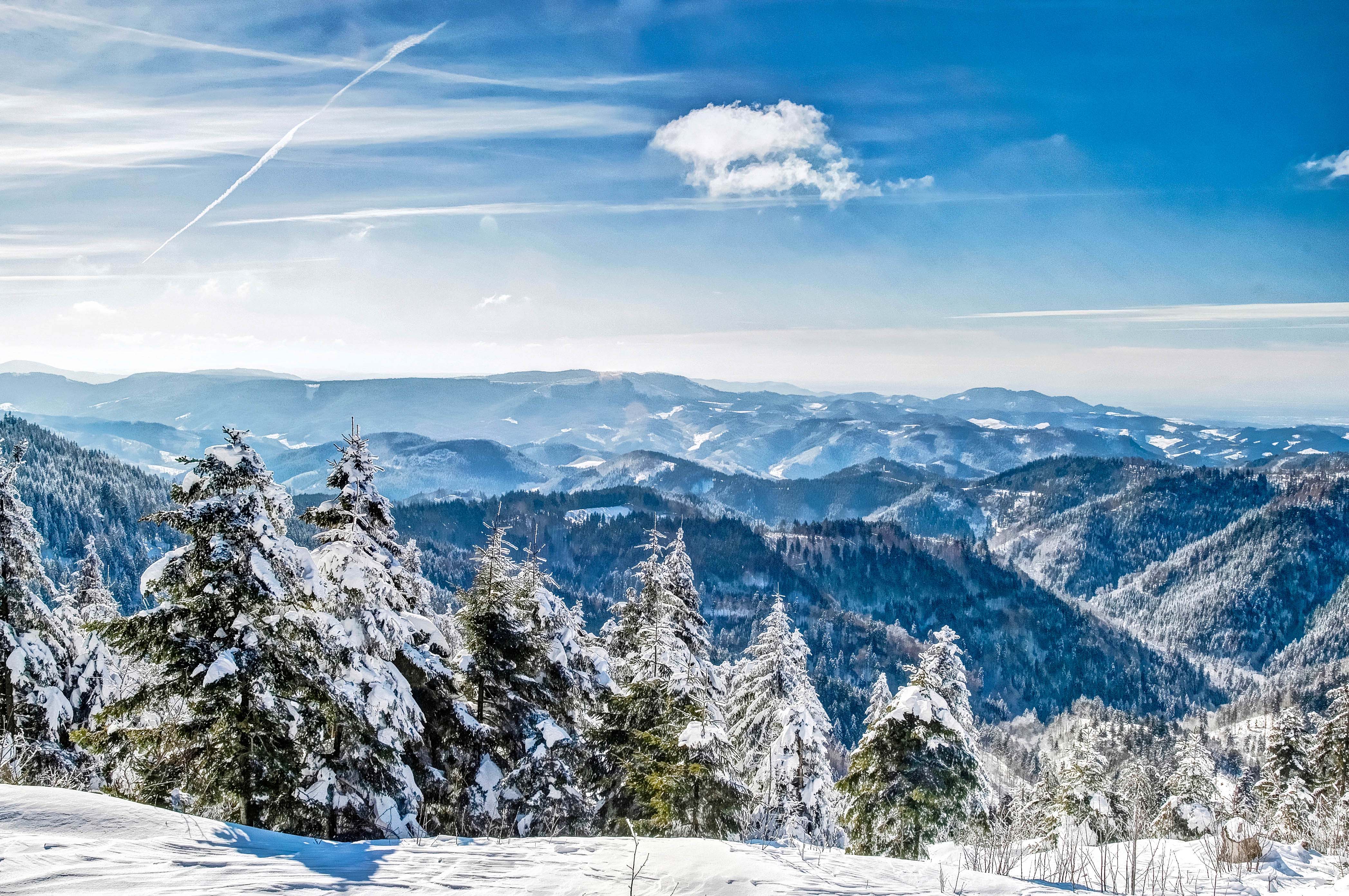 Wunderschöner Schwarzwald | Urlaubsguru.de