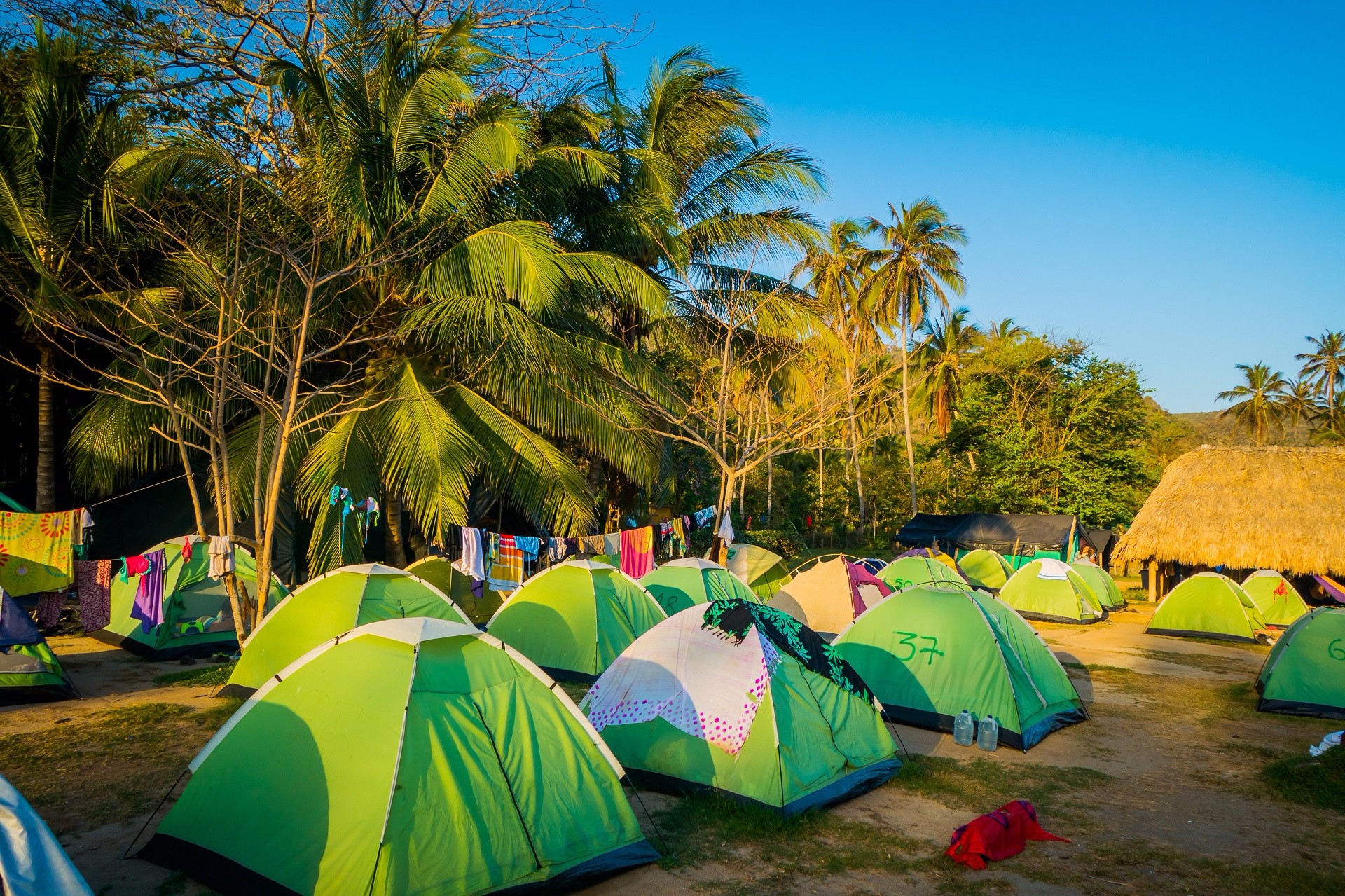 Tayrona Nationalpark - Erlebt die wilde Natur | Urlaubsguru