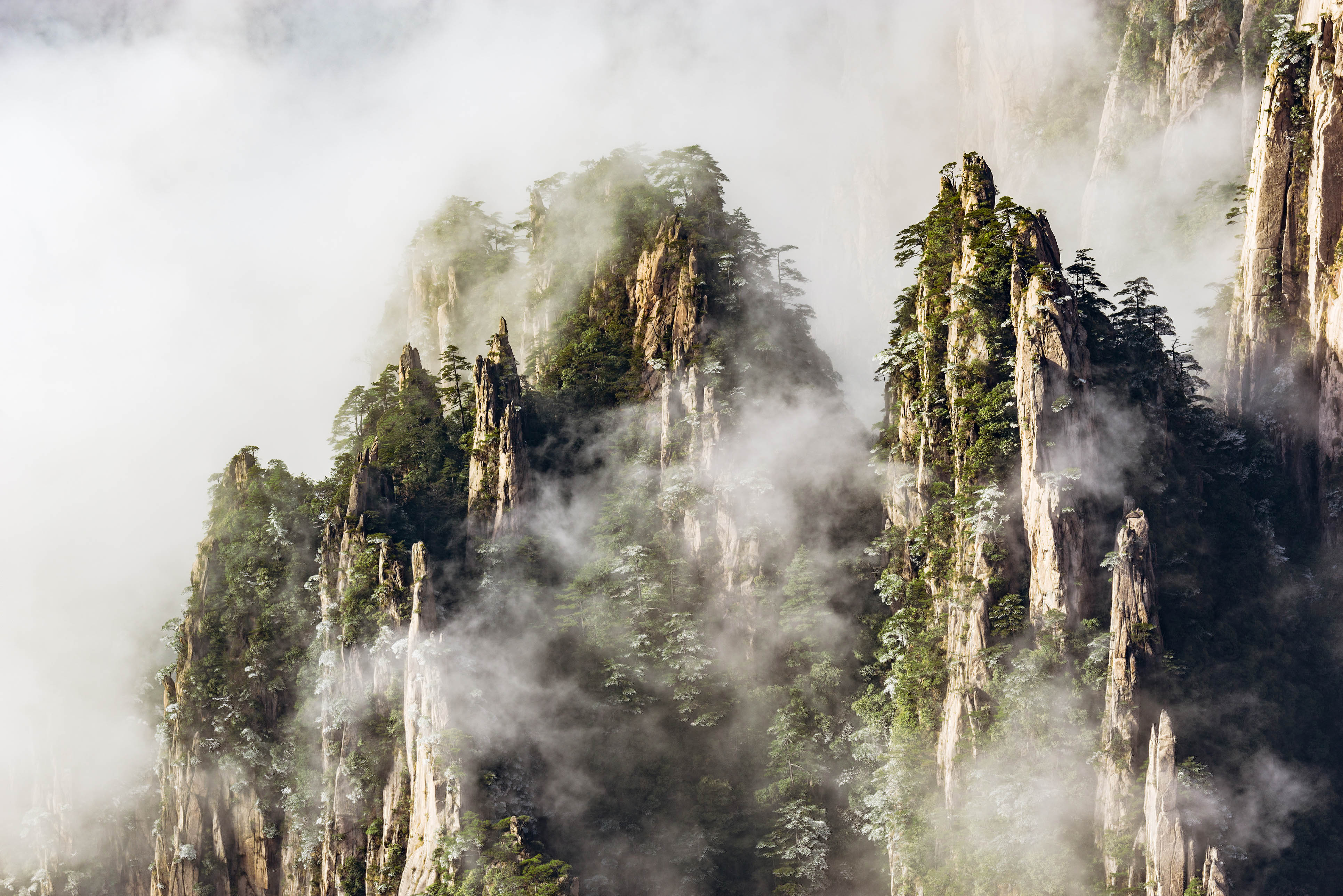 Huangshan-Gebirge - Wandern in der AVATAR-Kulisse | Urlaubsguru.de
