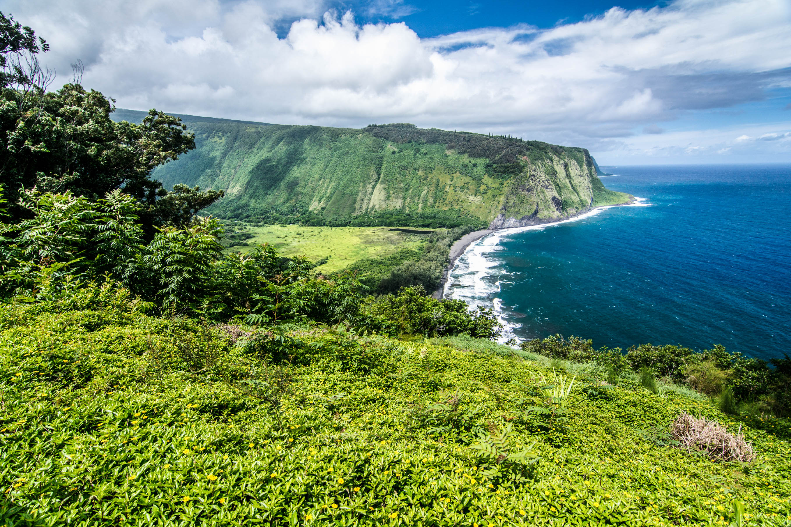 Die "Big Island" von Hawaii | Urlaubsguru.de