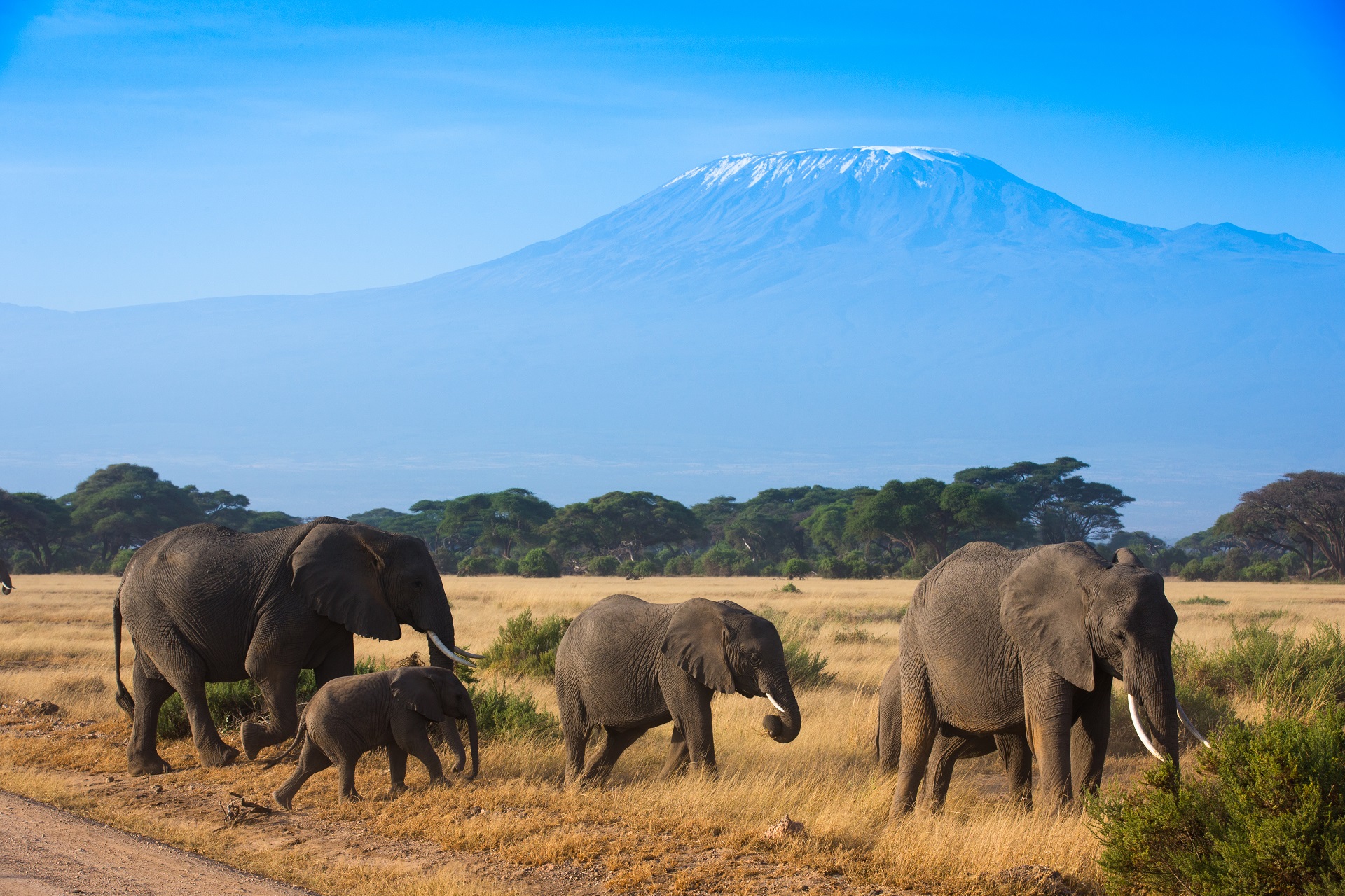 Kenia – Mehr Afrika geht nicht! | Urlaubsguru.de Kenia – Mehr Afrika geht nicht! | Urlaubsguru.de