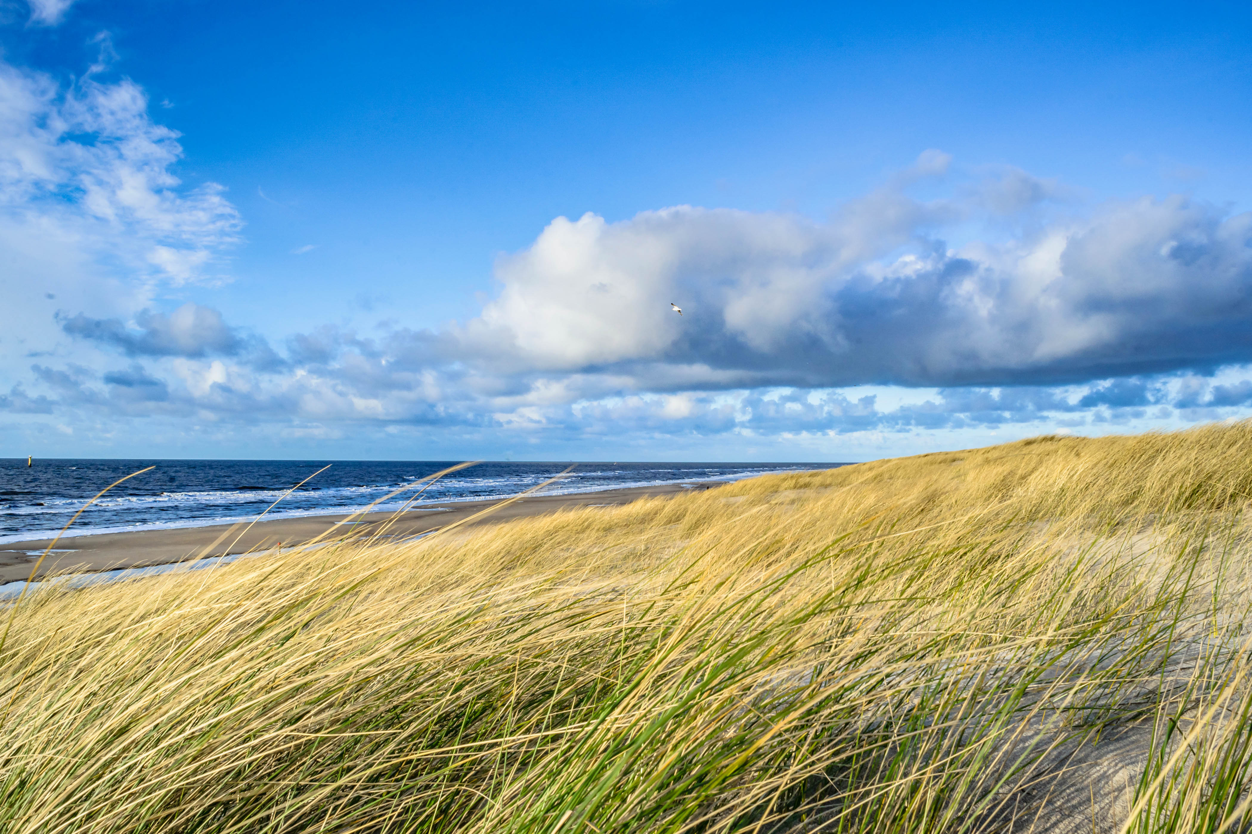 Texel - Inselurlaub in den Niederlanden | Urlaubsguru.de