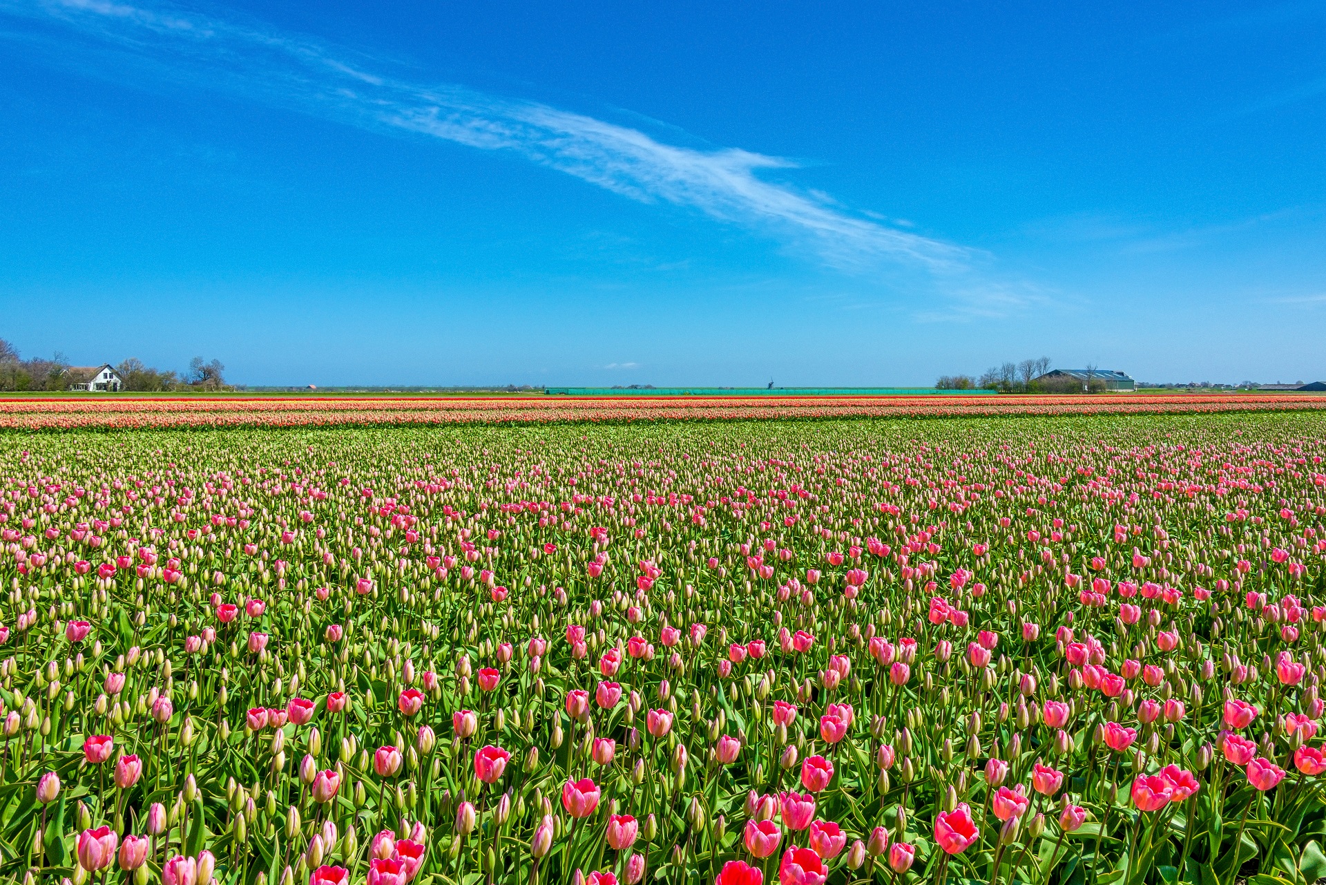 Texel - Inselurlaub in den Niederlanden | Urlaubsguru.de