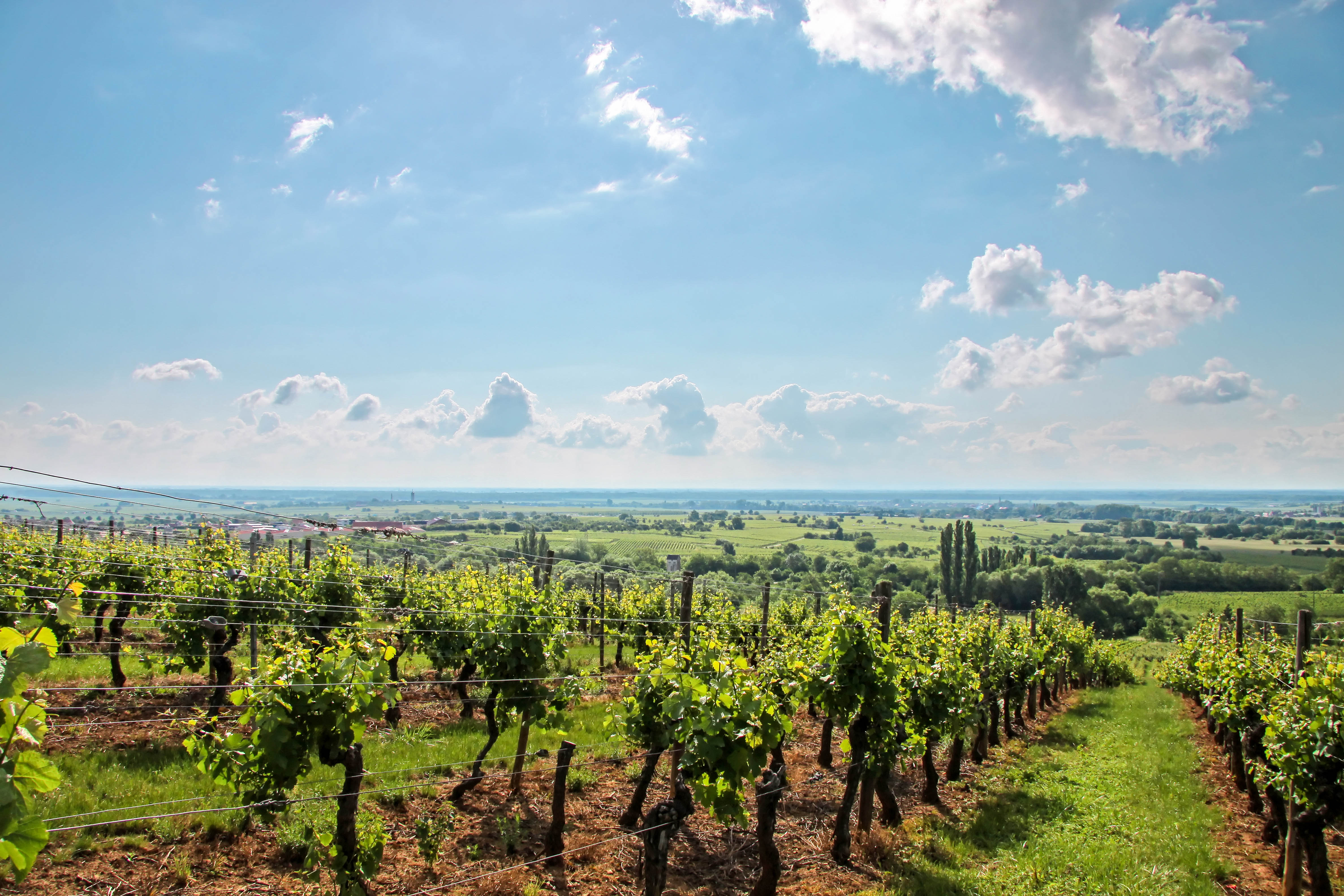 Zu Besuch im wunderschönen Elsass | Urlaubsguru.de