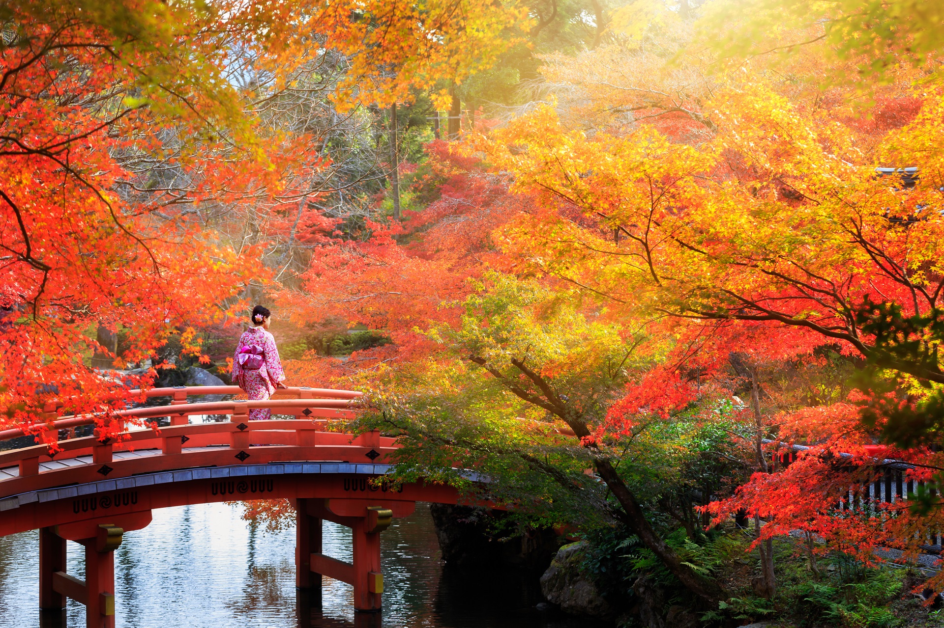Erlebt das traditionelle Japan in Kyoto | Urlaubsguru.de Erlebt das traditionelle Japan in Kyoto | Urlaubsguru.de