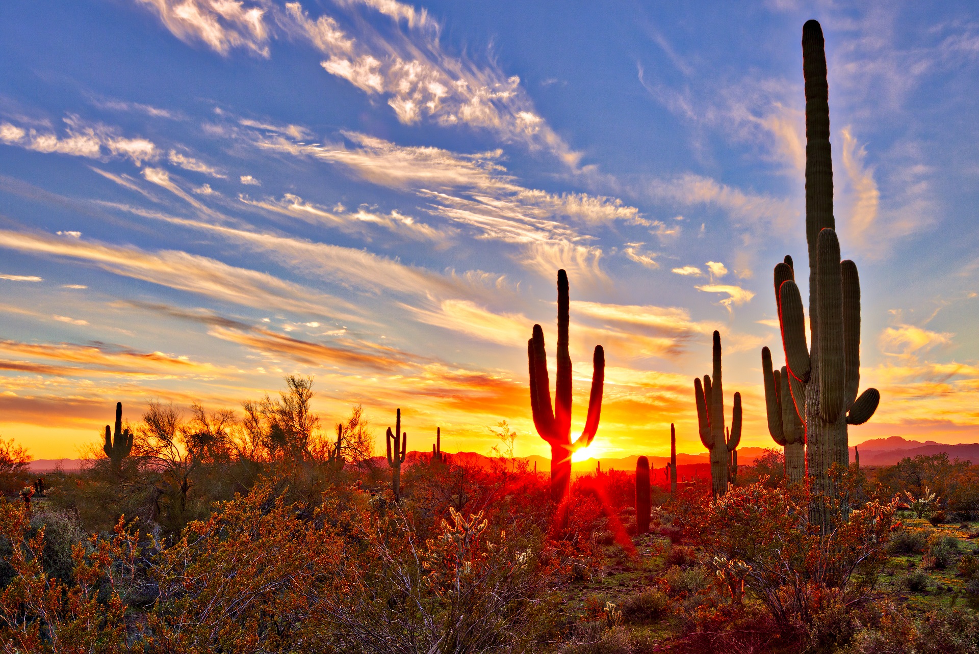 Arizona Roadtrip durch das Canyon Paradies | Urlaubsguru Arizona Roadtrip durch das Canyon Paradies | Urlaubsguru